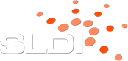 SLDI - Consultoria y Desarrollo de Software